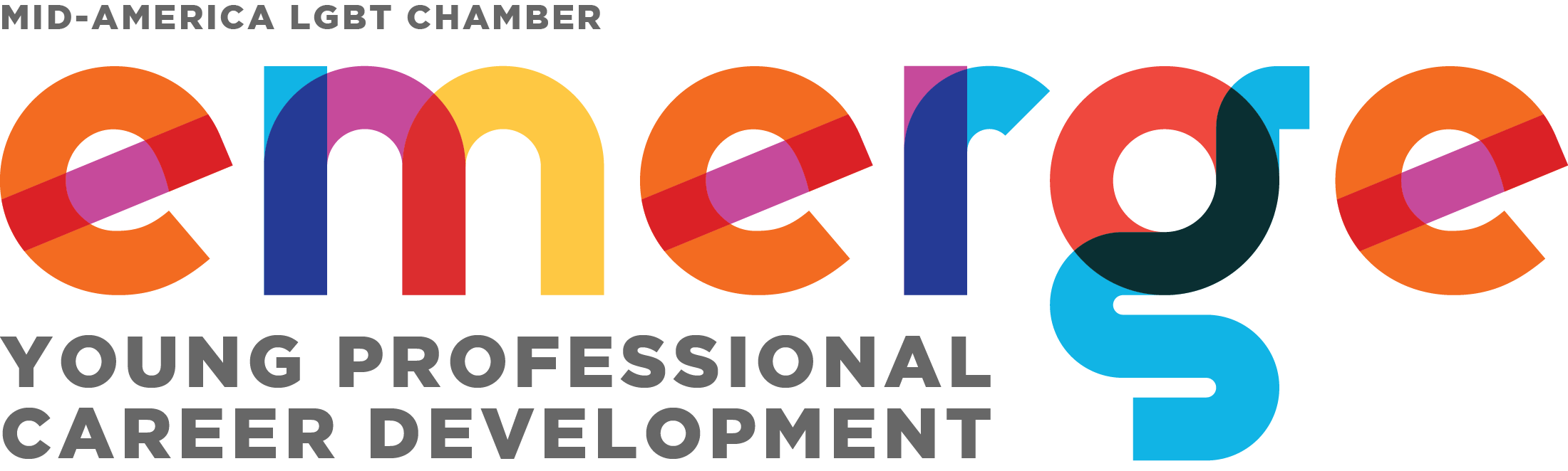 EMERGE: A Program for Young Professionals