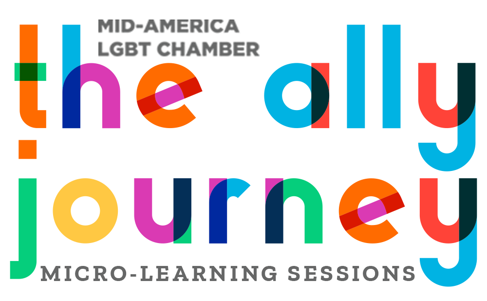 The Ally Journey: Micro-Learning Sessions